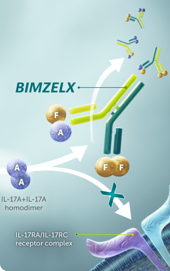 PSO & PsA MOA | Bimzelx